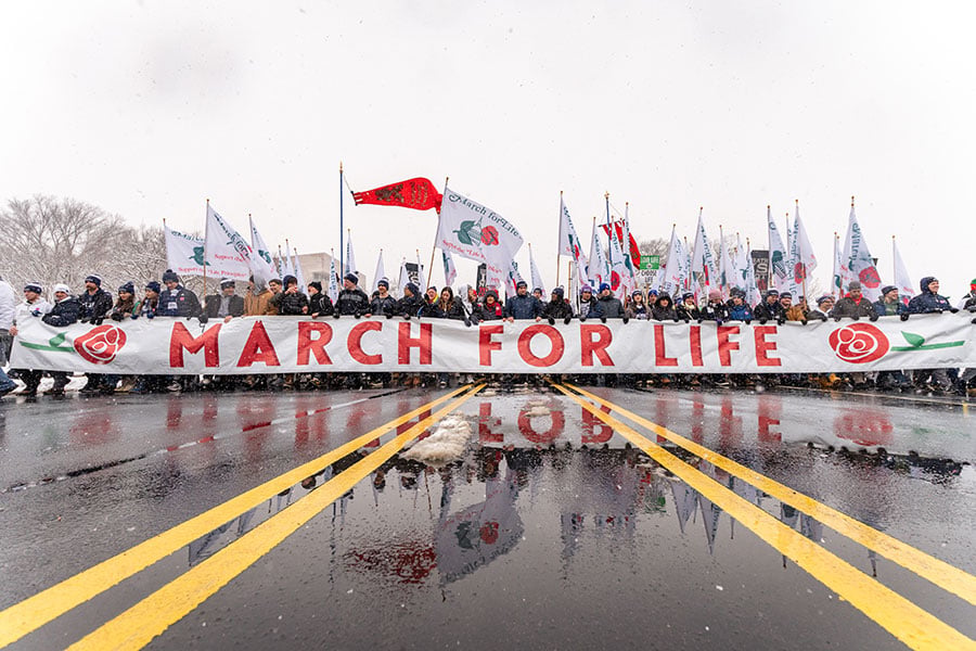 Five reasons why I'm still marching for life